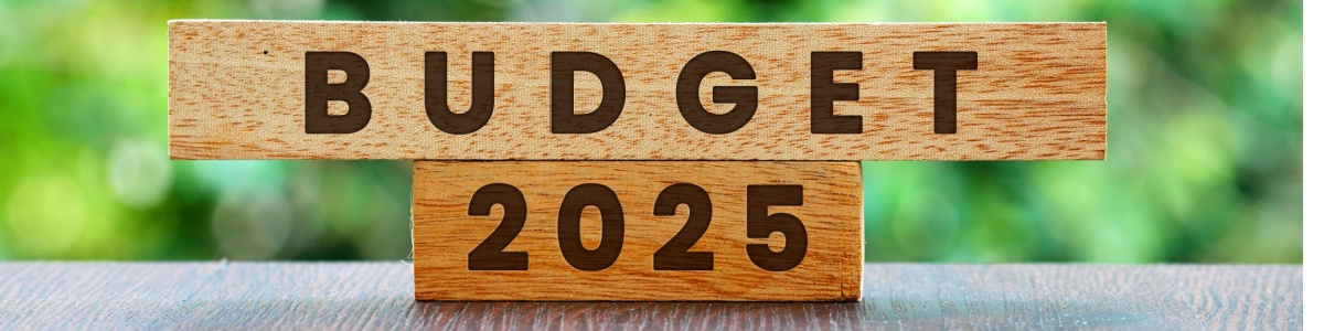 Union Budget 2025 Date, Time, When & Where to Check Updates