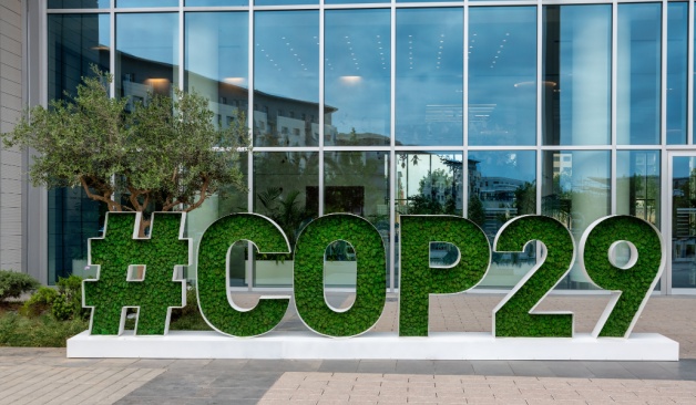 Key Highlights of India's Participation in COP 2029 - ICICIdirect