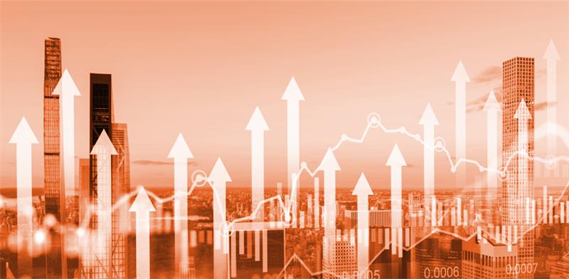 DII Overtakes FPI in Terms of Investment in Indian Share Market ...