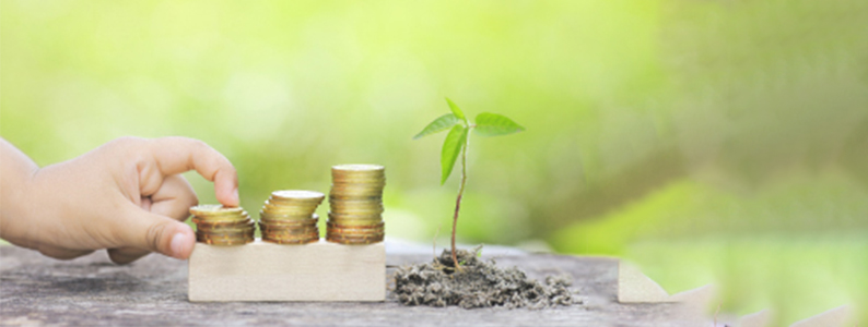 IPO Valuation - ICICIdirect